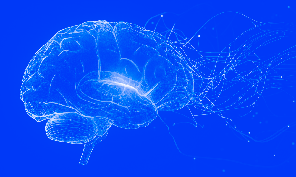 SDS 770: The Neuroscientific Guide to Confidence - SuperDataScience ...